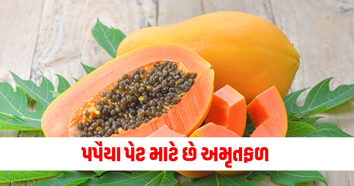 પપૈયા પેટ માટે છે અમૃતફળ , તેના ફાયદા જાણીને શરુ કરો તેનું સેવન કરવાનું ... પપૈયા પેટ માટે છે અમૃતફળ , તેના ફાયદા જાણીને શરુ કરો તેનું સેવન કરવાનું ...